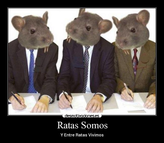 Ratas Somos | Desmotivaciones